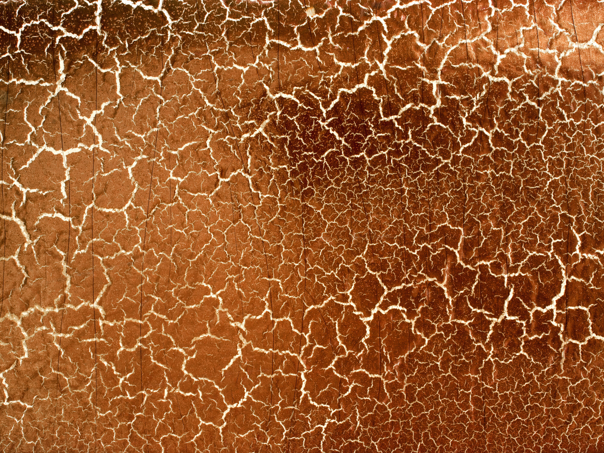 Crackle Finish - Revelare